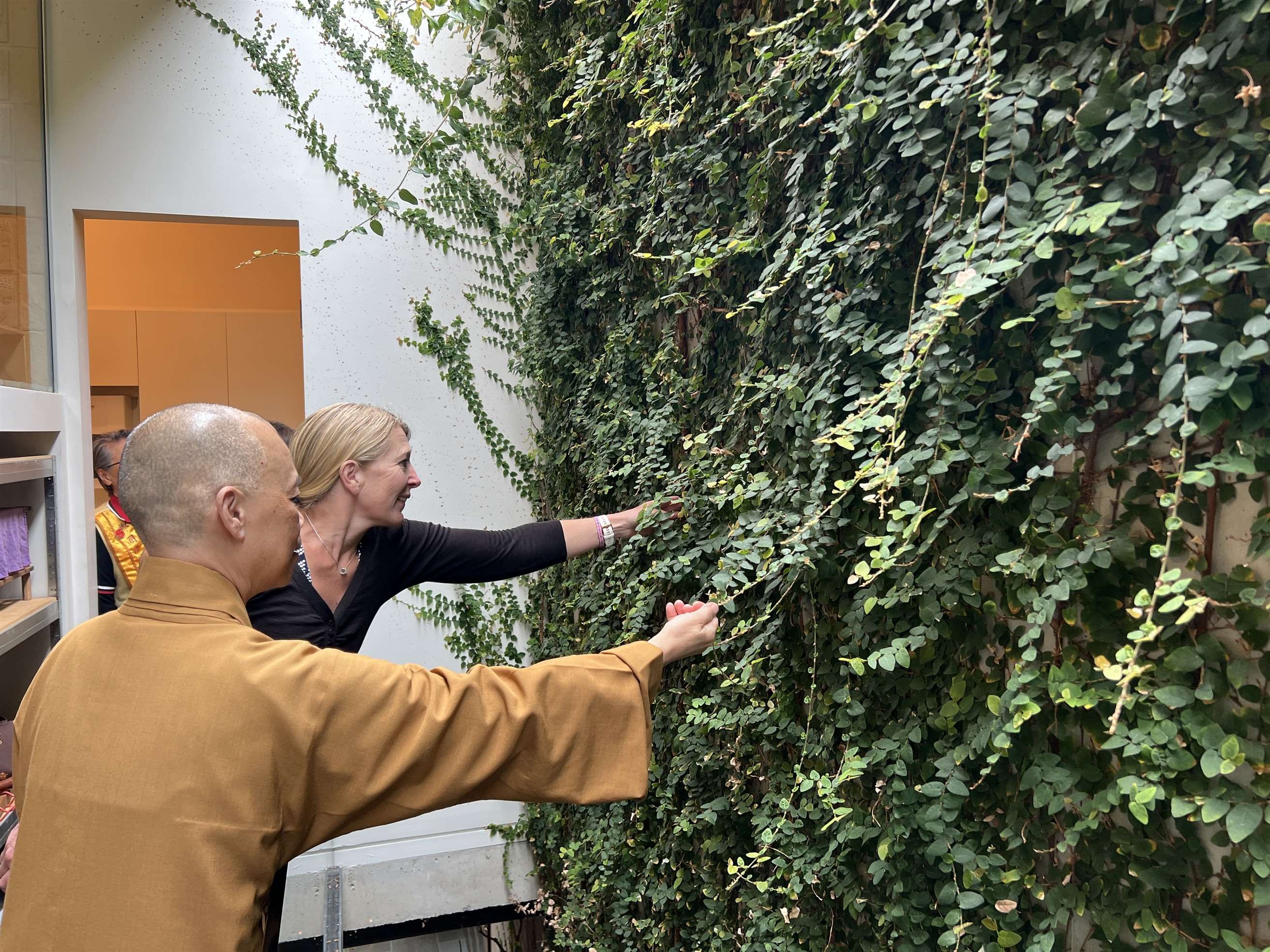 New Zealand BLIA South Island VEGRUN Donates 200 Trees to the National ...